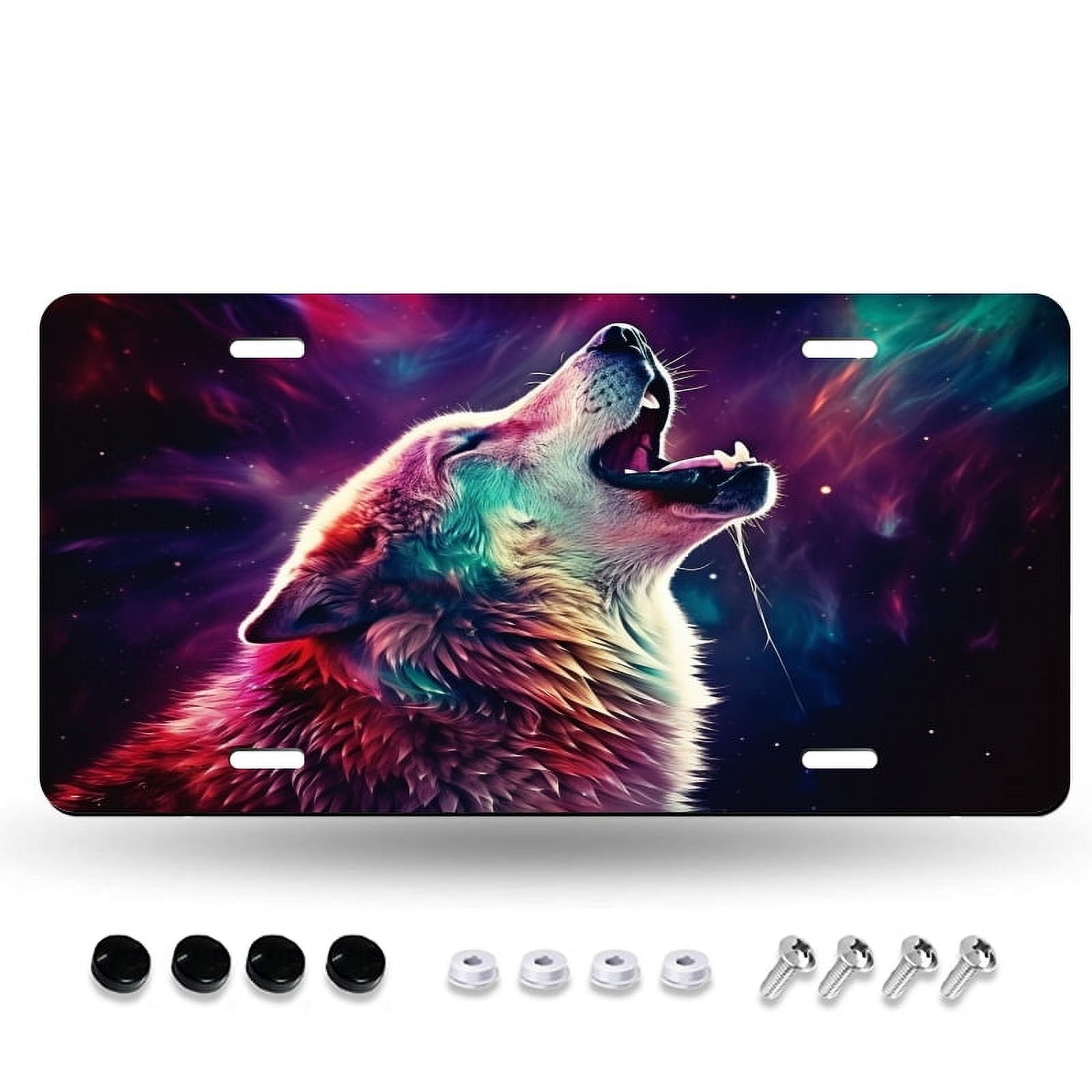 Decorative Stainless Steel License Plate Frame – Unique and Rust-Free ...