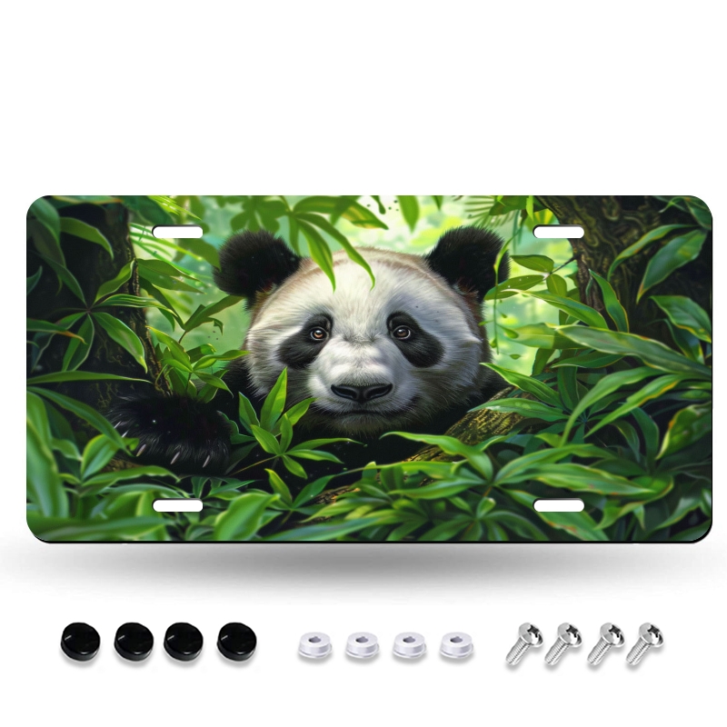 Decorative Stainless Steel License Plate Frame – Unique and Rust-Free ...