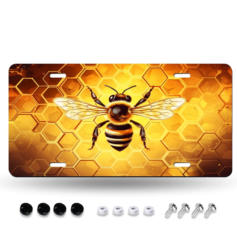 Decorative Stainless Steel License Plate Frame – Unique and Rust-Free ...
