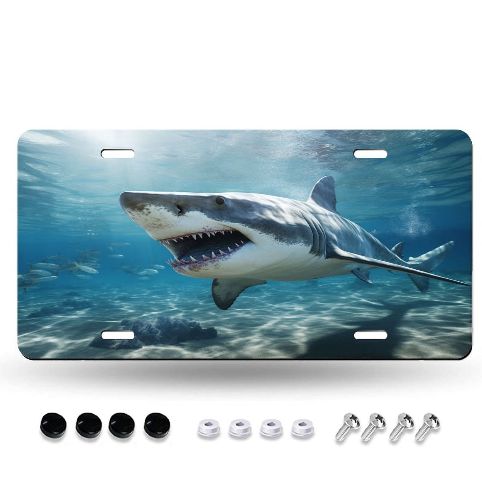 Decorative Stainless Steel License Plate Frame – Unique and Rust-Free ...