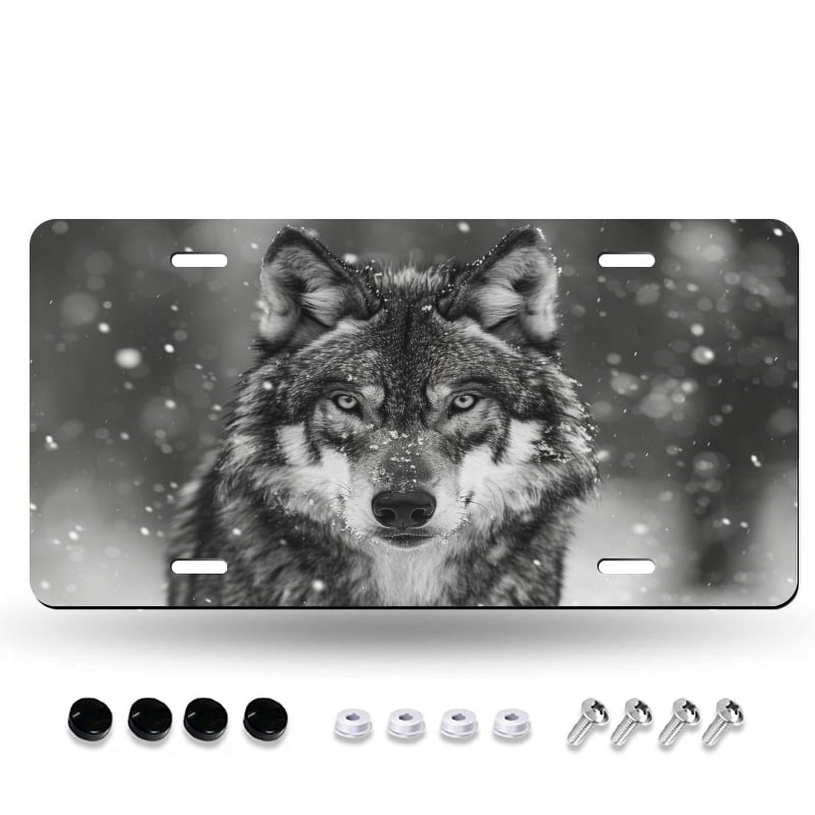 Decorative Stainless Steel License Plate Frame – Unique and Rust-Free ...