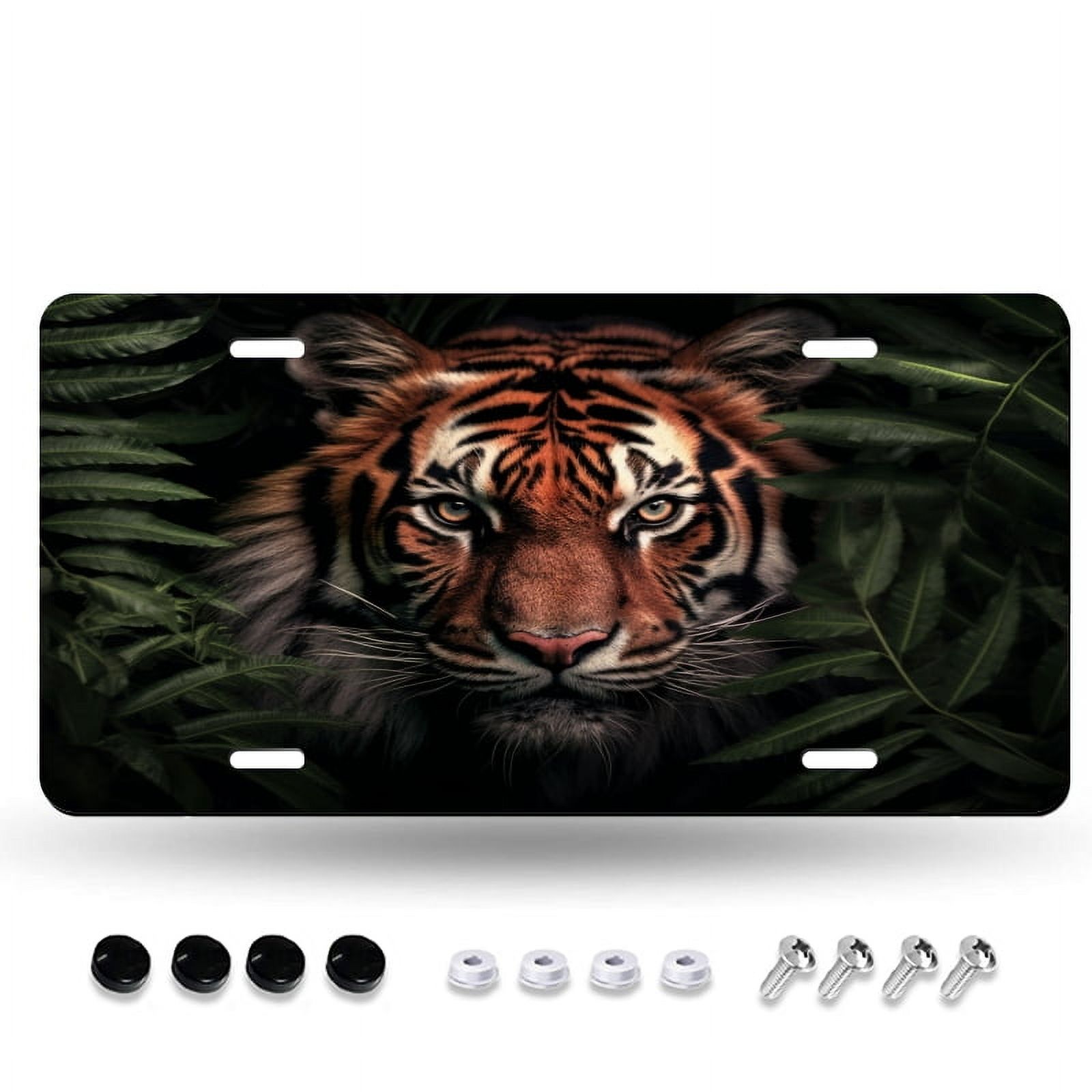 Decorative Stainless Steel License Plate Frame – Unique and Rust-Free ...