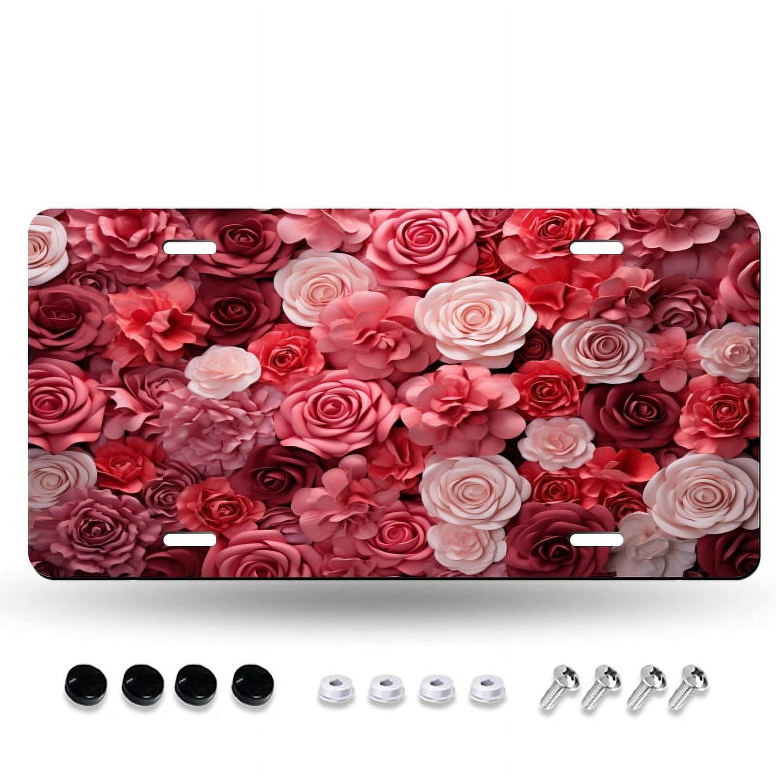 Decorative Stainless Steel License Plate Frame – Unique and Rust-Free ...