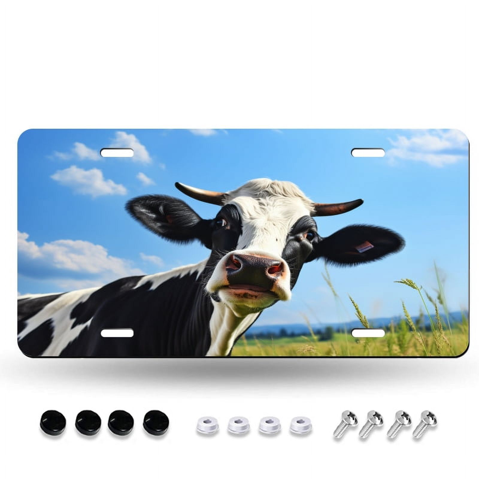 Decorative Stainless Steel License Plate Frame – Unique and Rust-Free ...