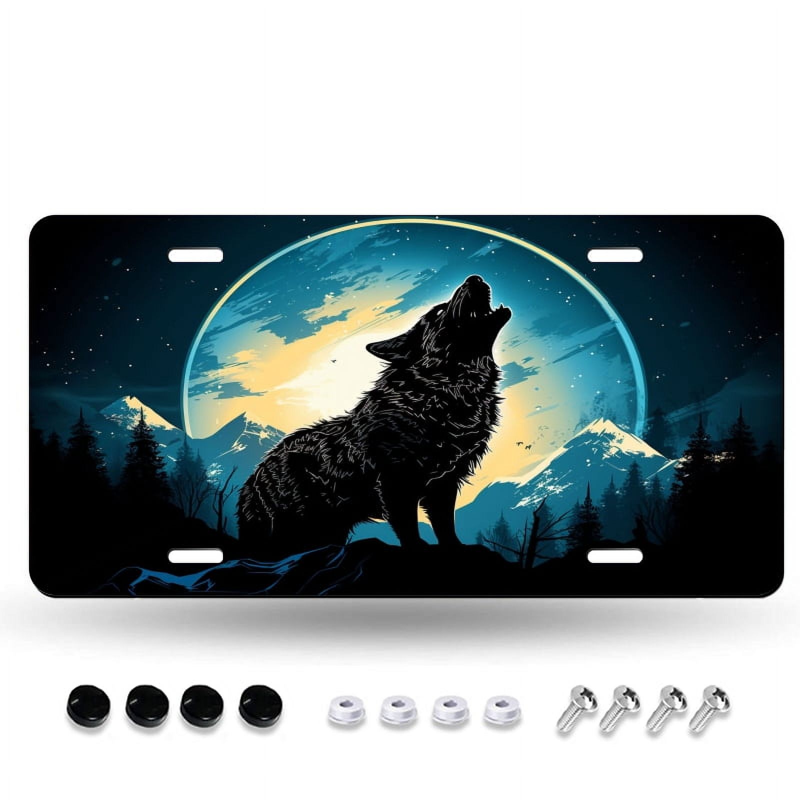 Decorative Stainless Steel License Plate Frame – Unique and Rust-Free ...