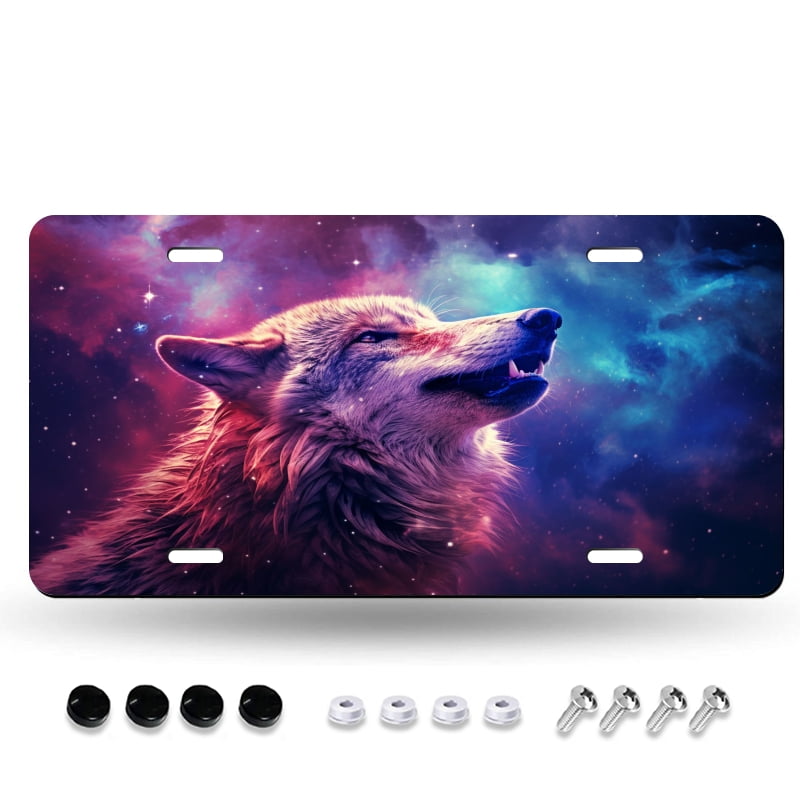 Decorative Stainless Steel License Plate Frame – Unique and Rust-Free ...