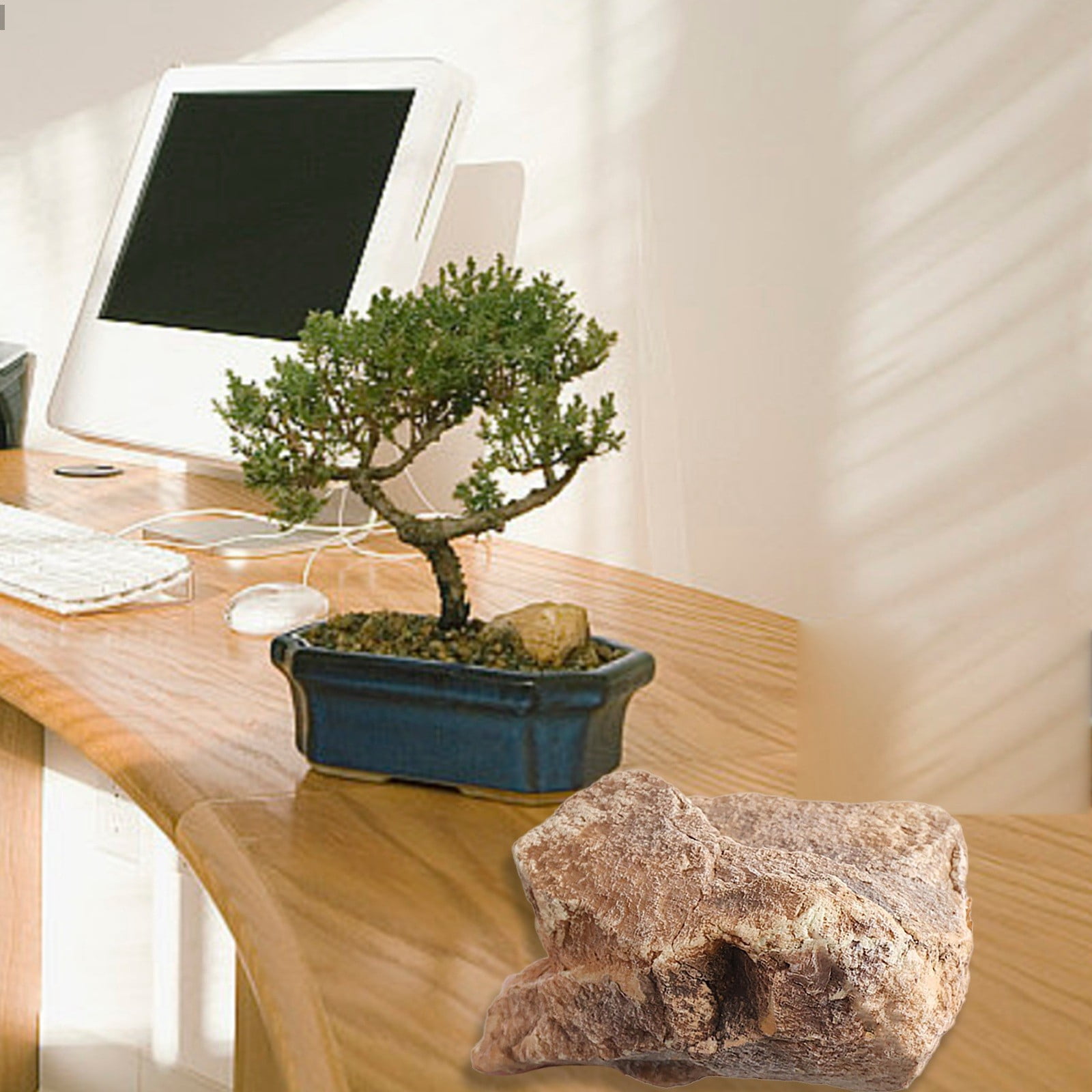 Decorative Stones, Upgrade Your Backyard With Realistic Stone Versatile ...