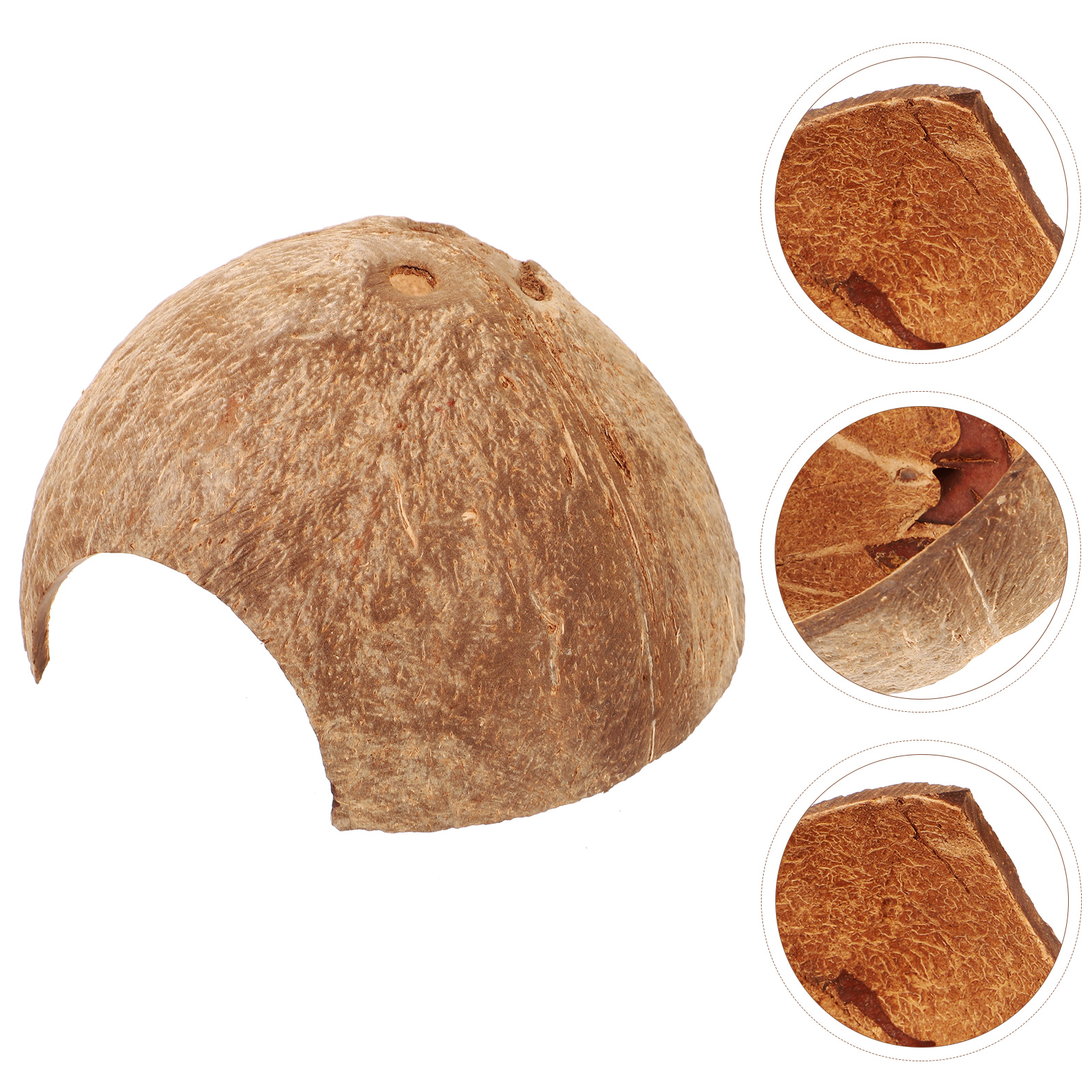 Decorative Terrarium Decoration Coconuts Shell Reptile Cave Reptile ...