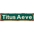 Decorative Tin Sign 16*4 Inch Titus Ave Sign - For Movie Room, Bar ...