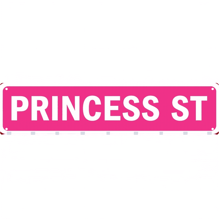 Decorative Tin Sign 16*4 Inches "Princess St" Bedroom, Living Room ...