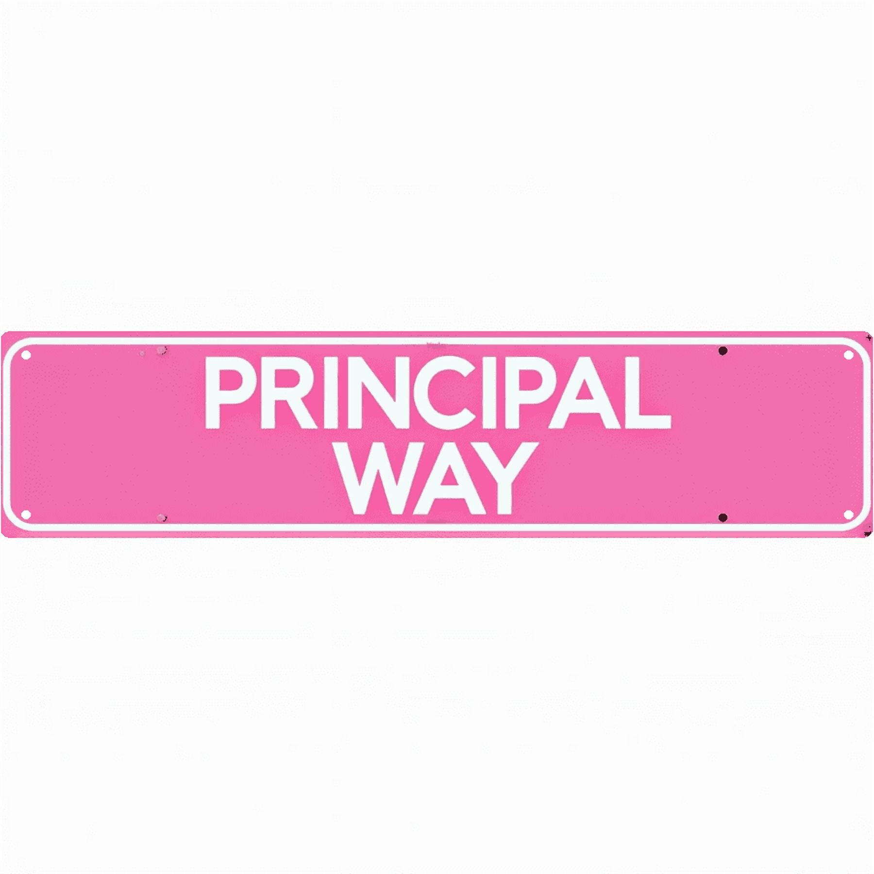 Decorative Tin Sign 16x4 Inch Principal Way Design - Perfect for ...