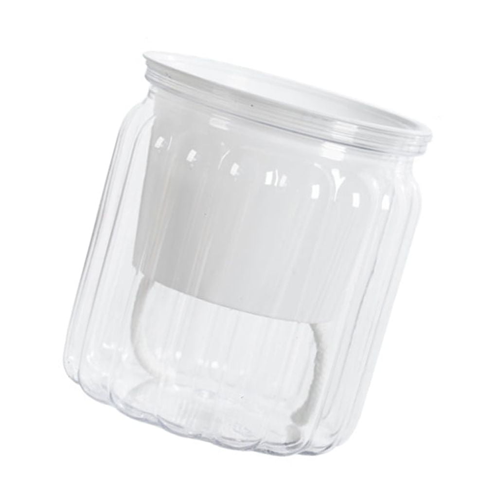 Decorative Translucent Pots Planter Tabletop Vase for Effortlessly ...