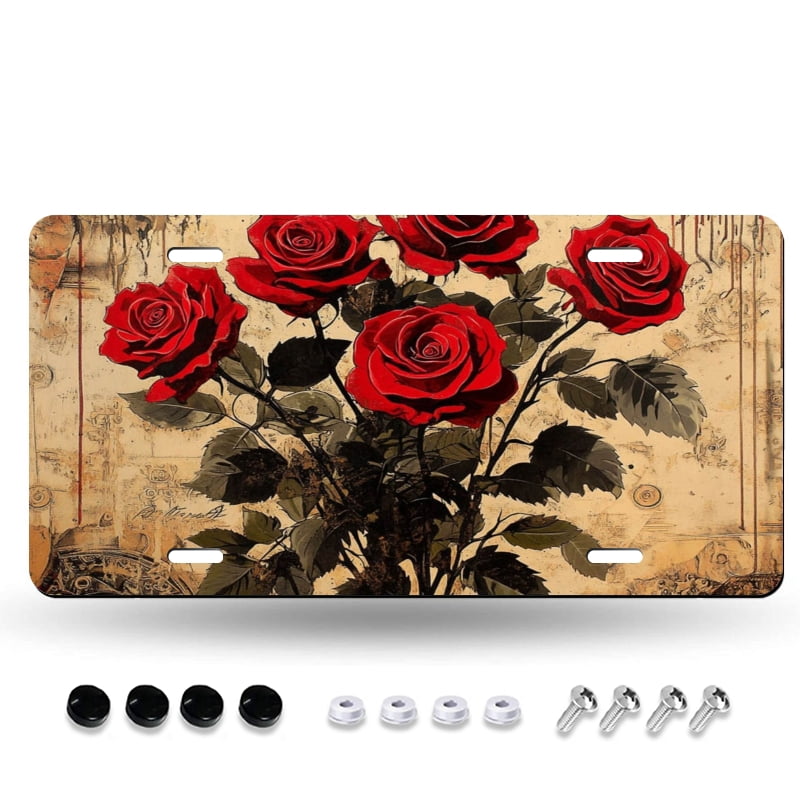Decorative Vintage License Plate Frame, Rust-Proof Stainless Steel-Gear ...