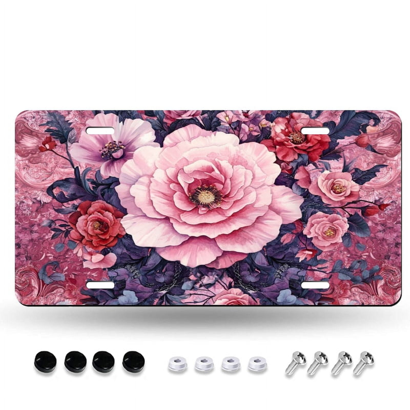 Decorative Vintage License Plate Frame, Rust-Proof Stainless Steel-Huge ...