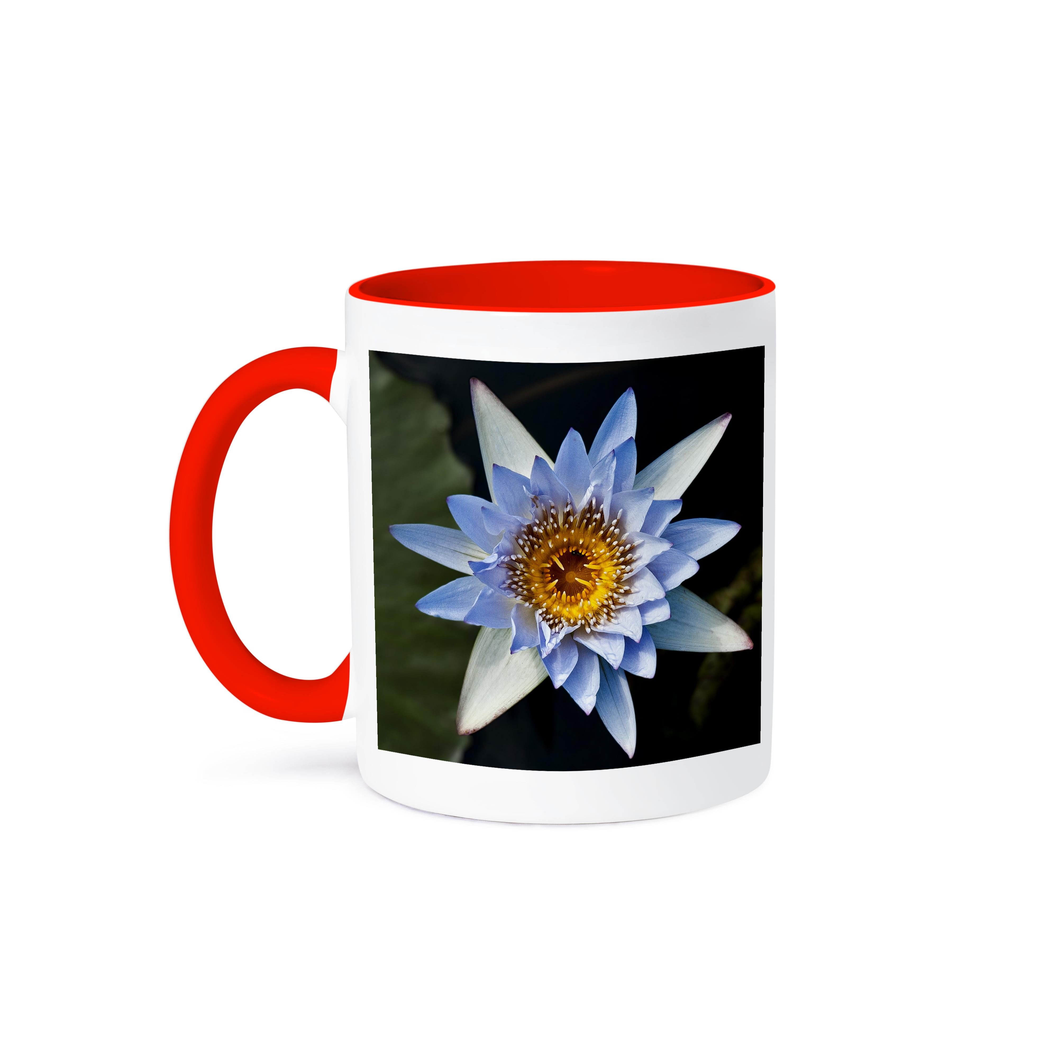 3dRose, Decorative colorful garden botanic classic plant water lily blue flower, 11oz Two-Tone ...