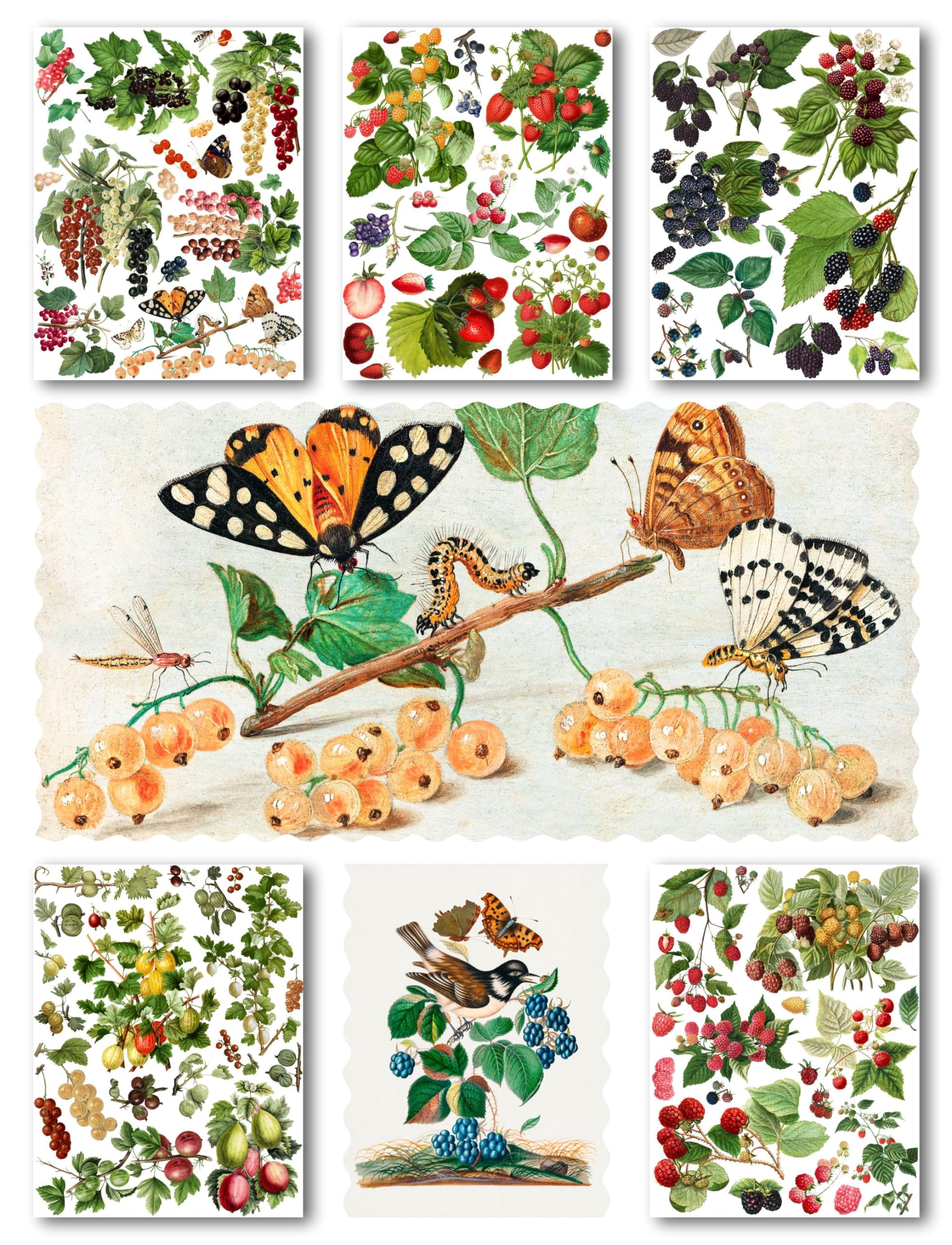 Decoupage Paper Pack (15 KEF16 sheets 8"x11") Tasty Raspberry Antique ...
