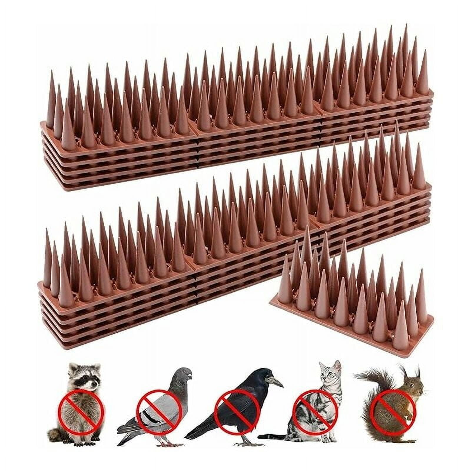 Decoy Crow, Raven Scare For Outdoor Birds Pigeons Crows, Bracket-System ...