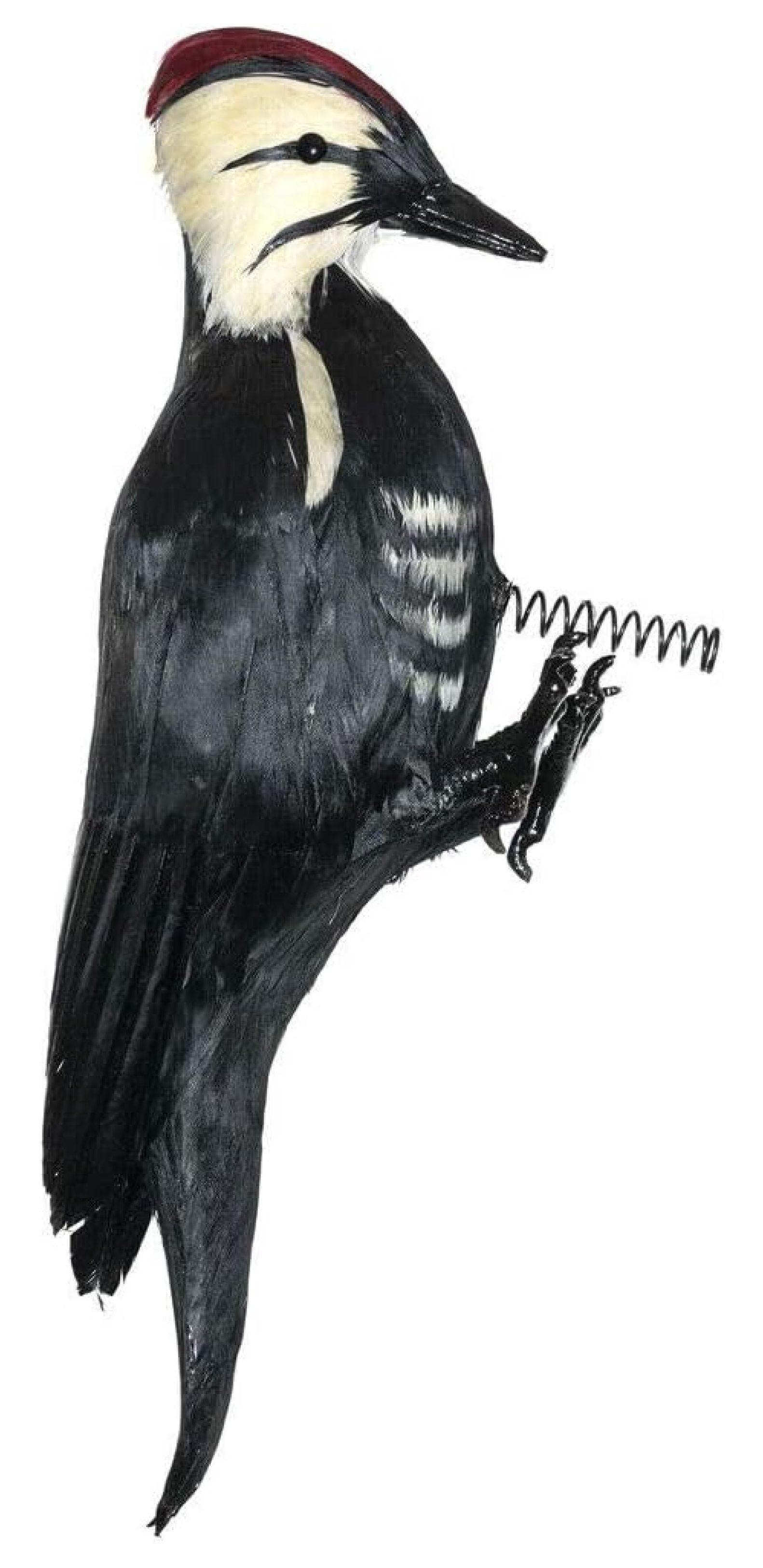 Decoy Effigy - Life-Like Deterrent & Decoration - Walmart.com