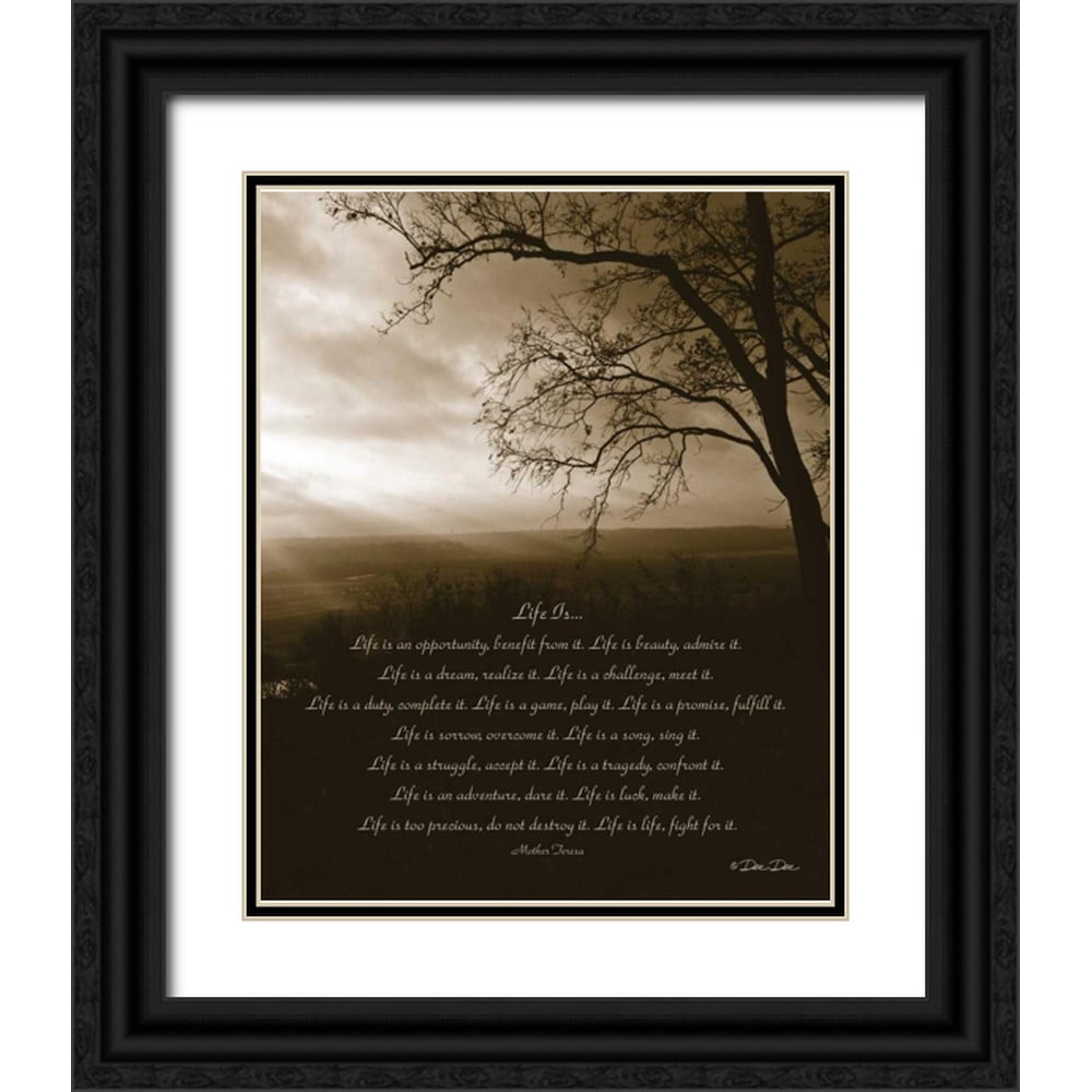 Dee Dee 15x18 Black Ornate Wood Framed with Double Matting Museum Art ...