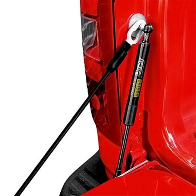 Dee Zee DZ43105 Truck Tailgate Assist for 2001 Chevrolet Colorado ...