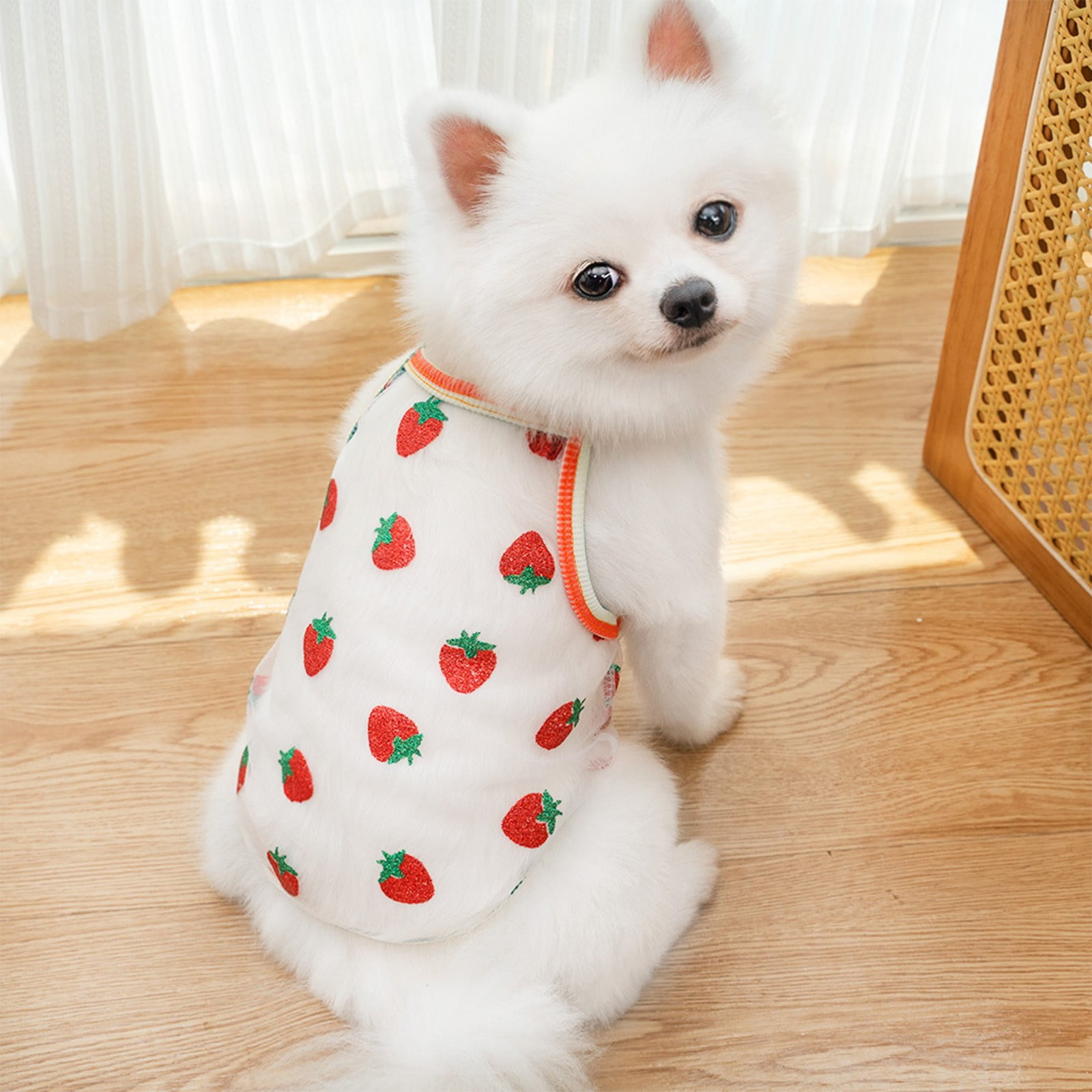 Deeceymbur Dog Vest – Summer Colorful Gauze T-Shirt with Bear Floral ...