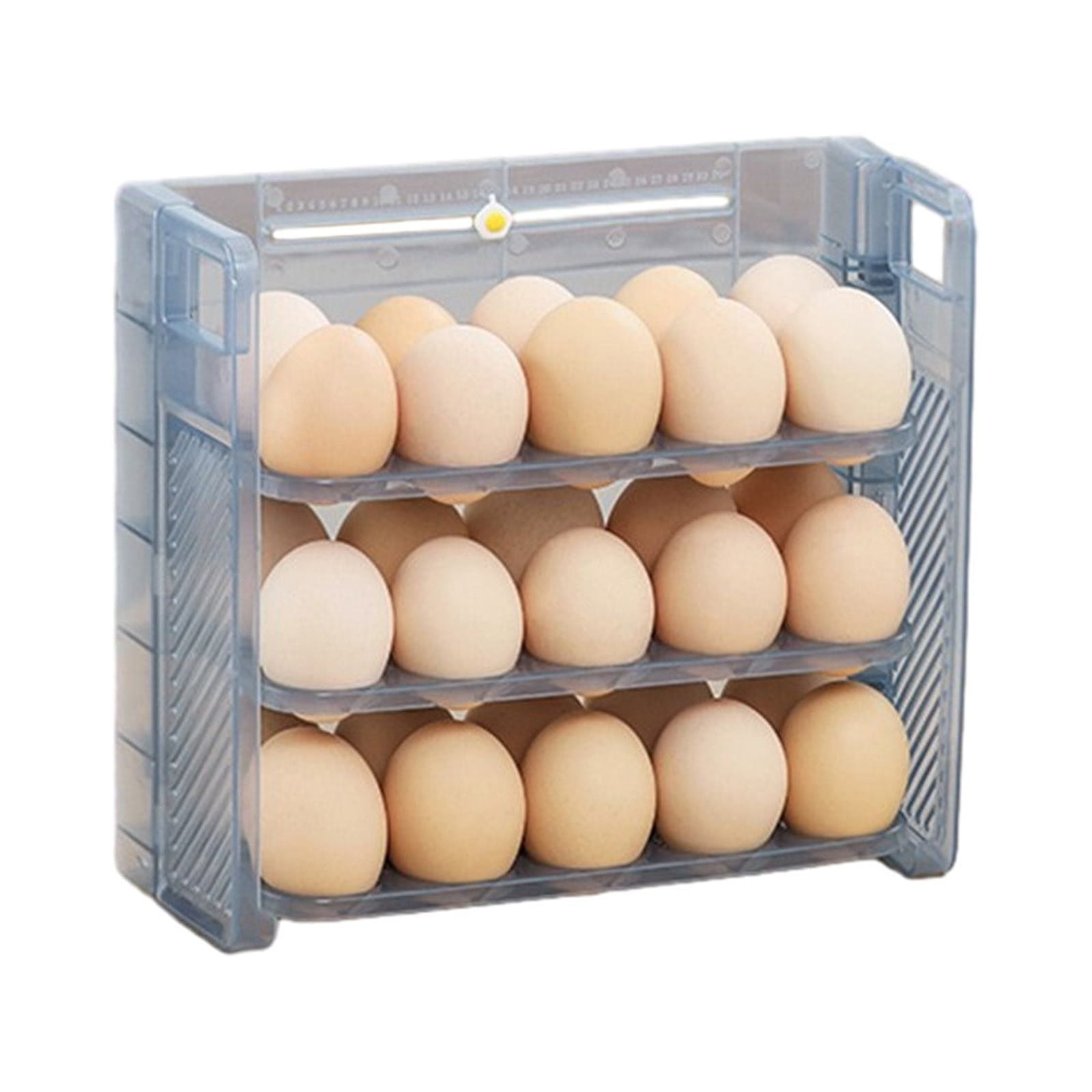 Deeceymbur Eggs Holder for Refrigerator Eggs Storage Box Record Storage ...