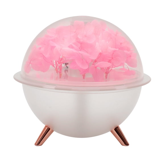 Deeceymbur Humidifier Eternal Flower Design Ambient Light for Home ...