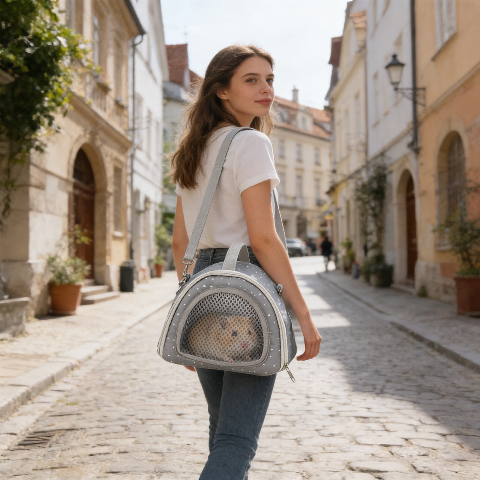 Deeceymbur Small Pet Carrier Bag for Hamster Squirrels Hedgehog Glider ...