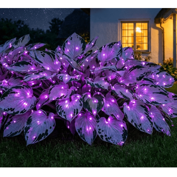 Deep Blue Heart Hosta-Bulbs For Planting-Premium Garden Stakes Perfect ...