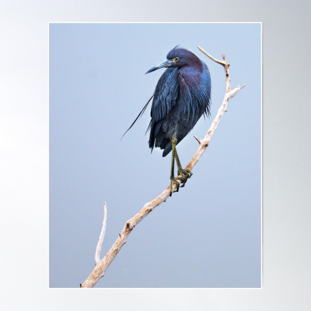 Deep Blue Poster Wall Art, Modern Wall Decor For Living Room Bedroom ...