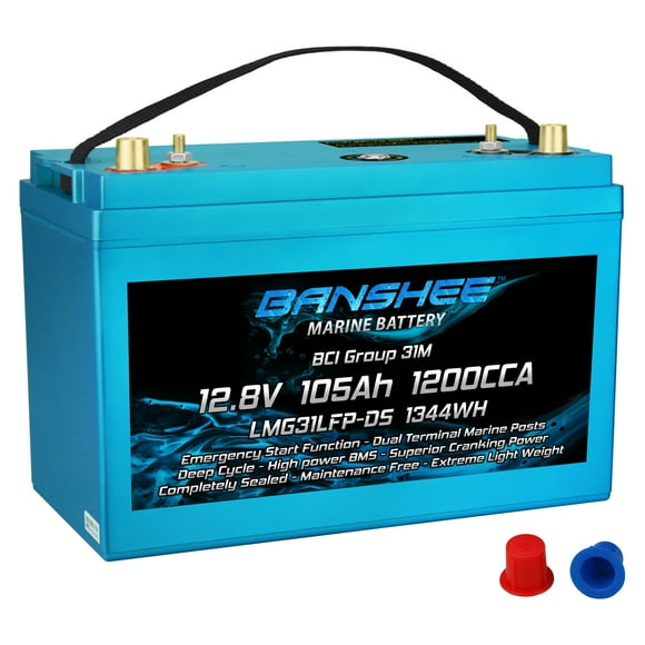 Dual Terminal Battery