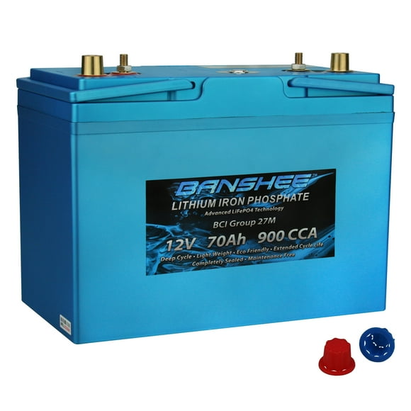 Dual Terminal Battery