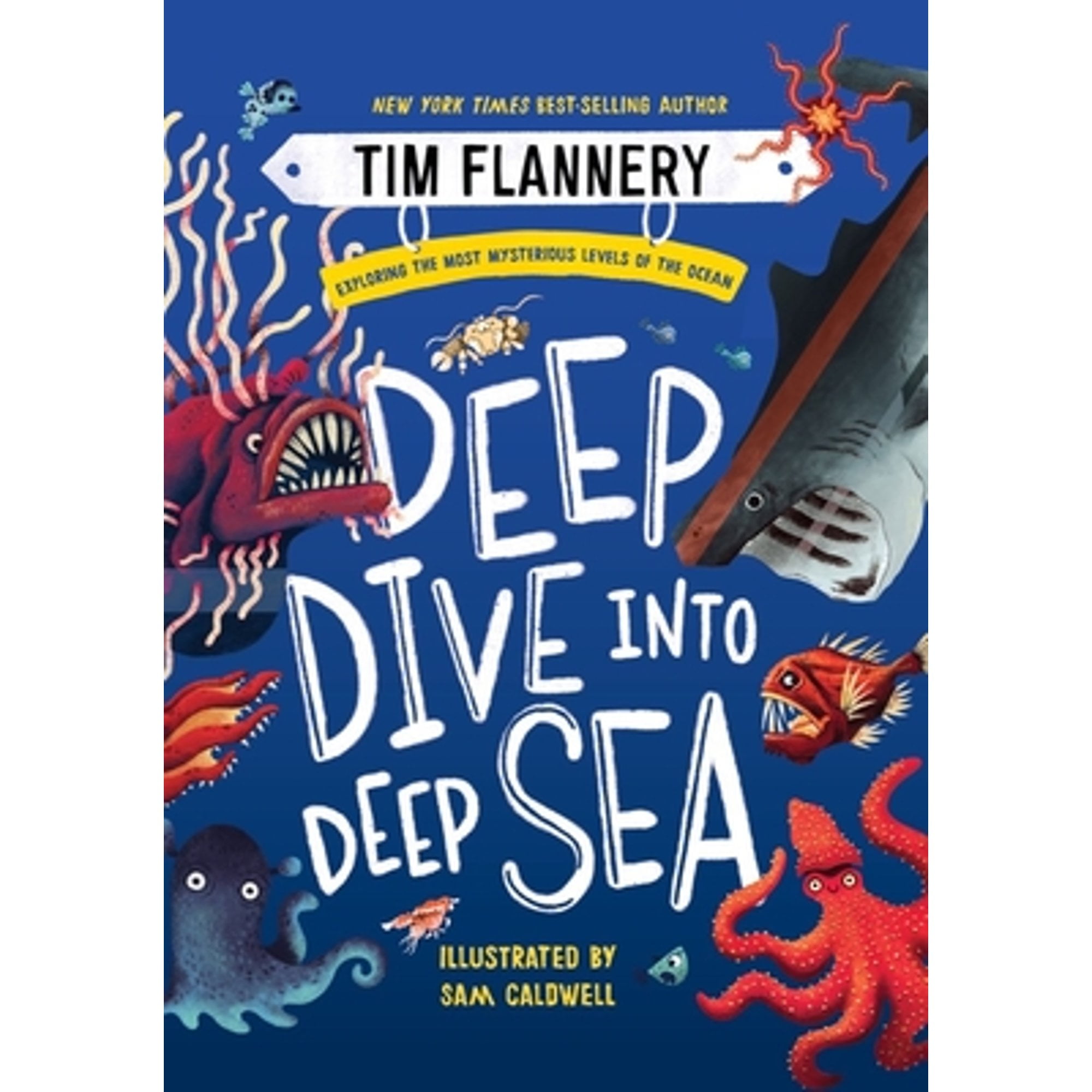 Pre-Owned Deep Dive Into Deep Sea: Exploring the Most Mysterious Levels ...