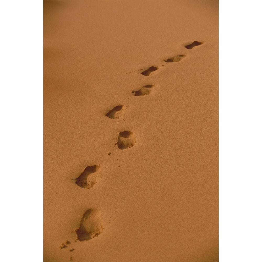 Deep Footprints On Smooth Sand Poster Print (12 x 19) - Walmart.com