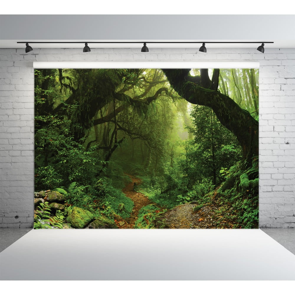 Deep Forest Tree Pathway Photography Backdrops Fairy Tale Photo ...