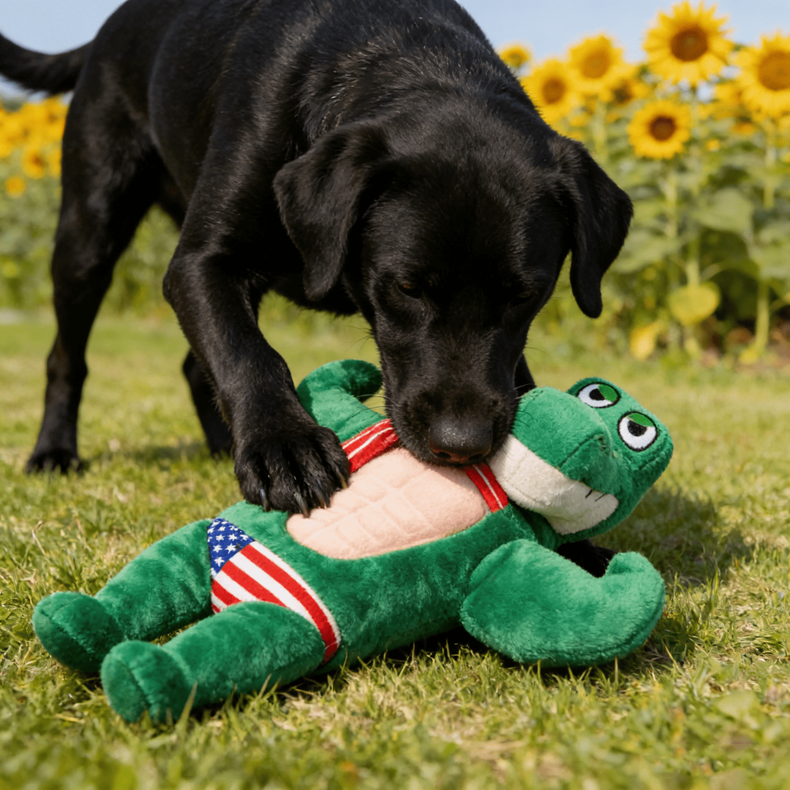 Deep Green Gym Crocodile Dog Toy - Interactive Chew & Exercise Toy With ...
