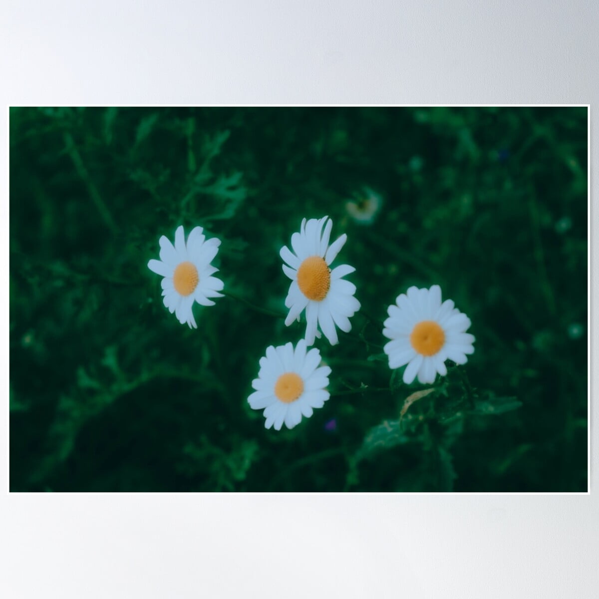 Deep Green Nature Poster Wall Art, Modern Wall Decor For Living Room ...