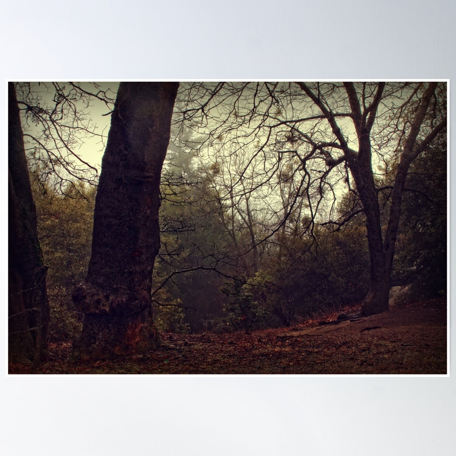 Deep Into The Woods I Go Poster Wall Art, Modern Wall Decor, 12x18 UNFRAMED - Walmart.com