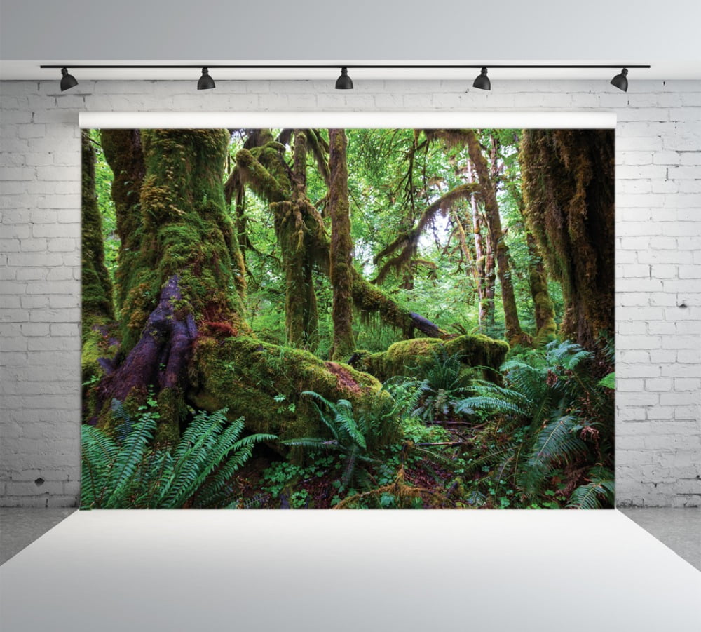 Deep Jungle Tree Photography Backdrops Fairy Tale Photo Background ...