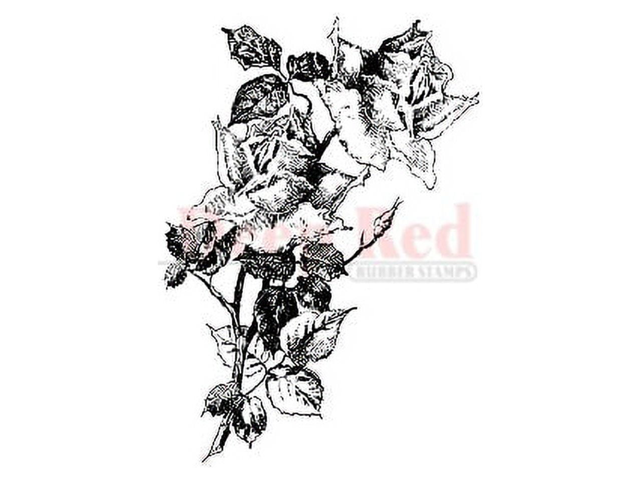 Deep Red 2'' x 3'' Roses Pen Ink Rubber Stamp Set - Walmart.com