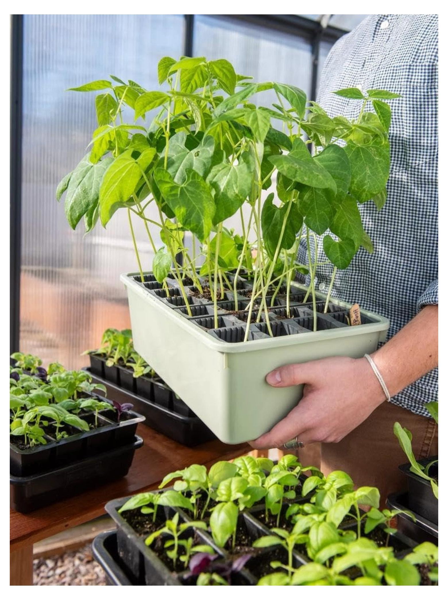 Deep Root Success | Self Watering Seed Starting Kit, 28-Cell Snap Apart ...