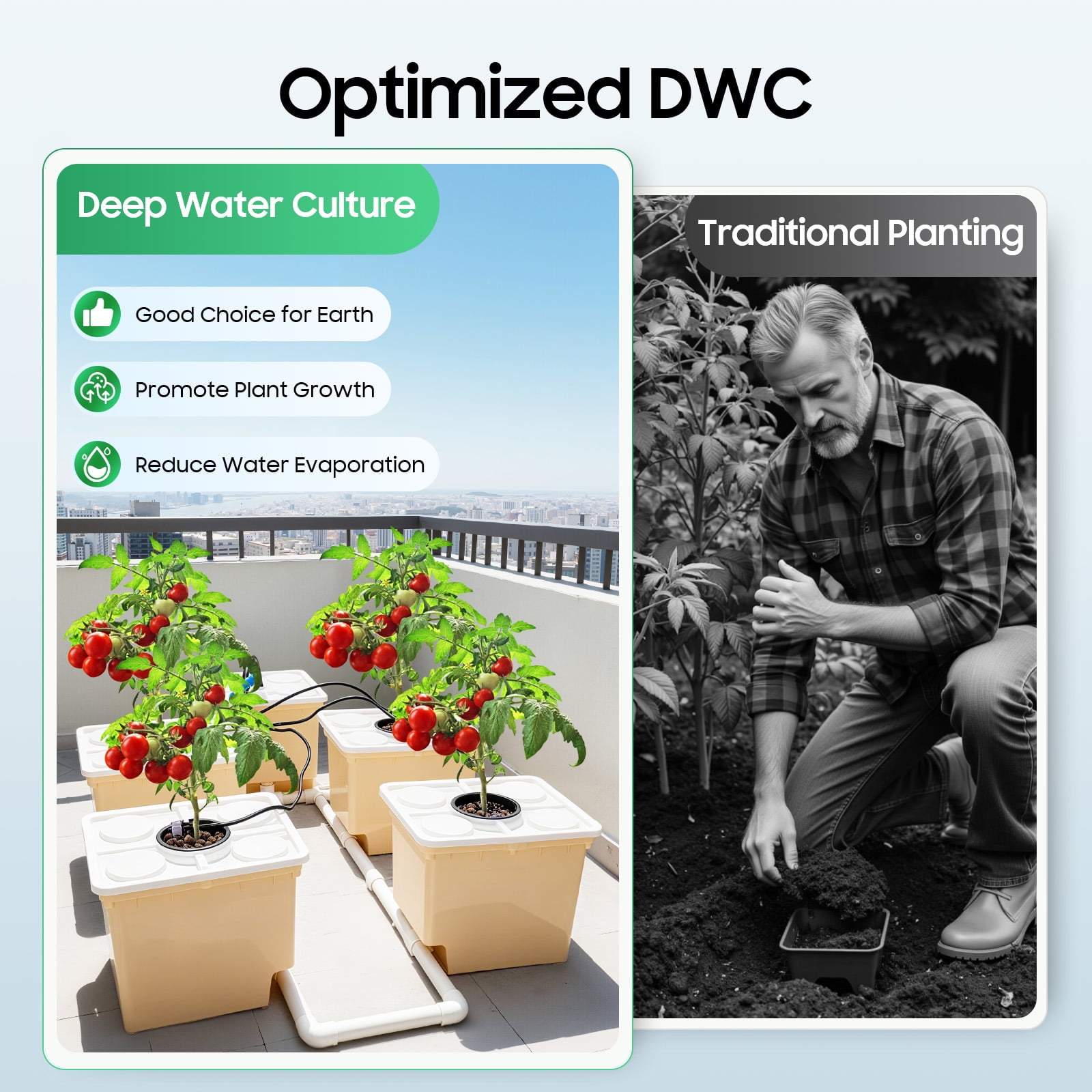 Hydroponics Deep Water Culture DWC Hydroponic System buckets Drip ...