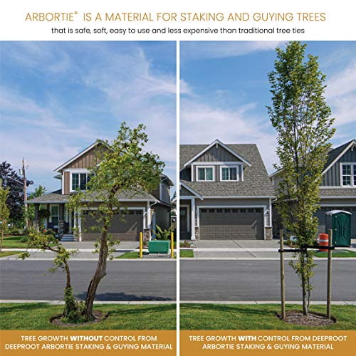 DeepRoot ArborTie Tree Straps for Staking and Guying, Flexible Tree ...