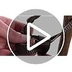 DeepRoot ArborTie Tree Straps for Staking and Guying, Flexible Tree ...