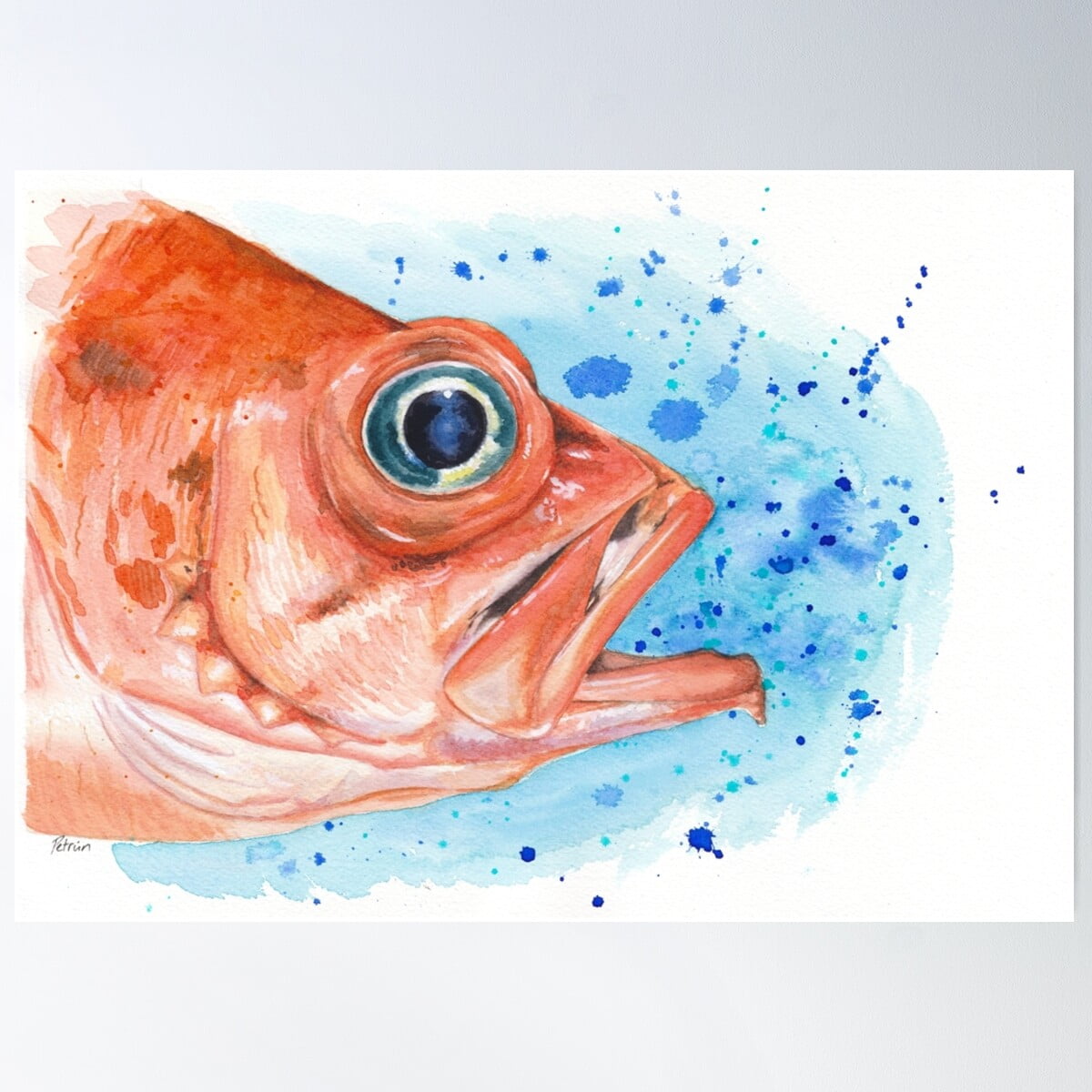 Deepwater Redfish Poster Wall Art, Modern Wall Decor For Living Room ...