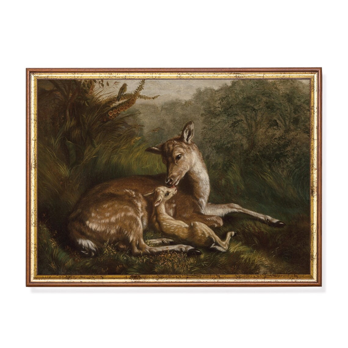 Deer And Fawn Vintage Rustic Animal Poster Mailed Poster Home Decor ...