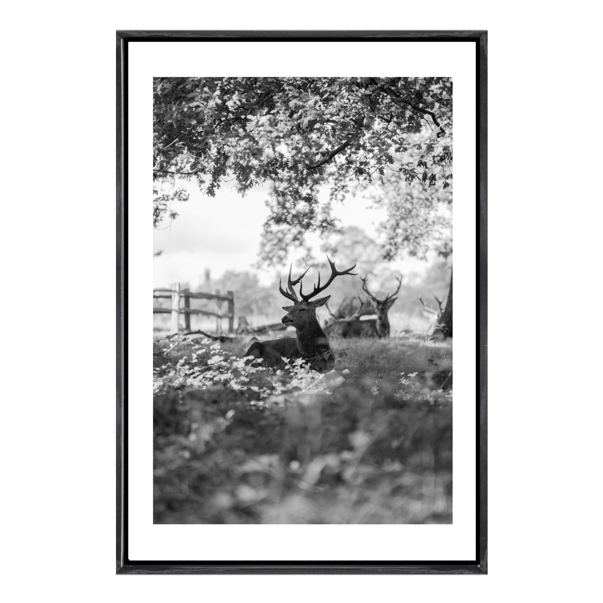 Deer Canvas Framed Wall Art Rustic Woodland Animal Print Nordic Nature ...