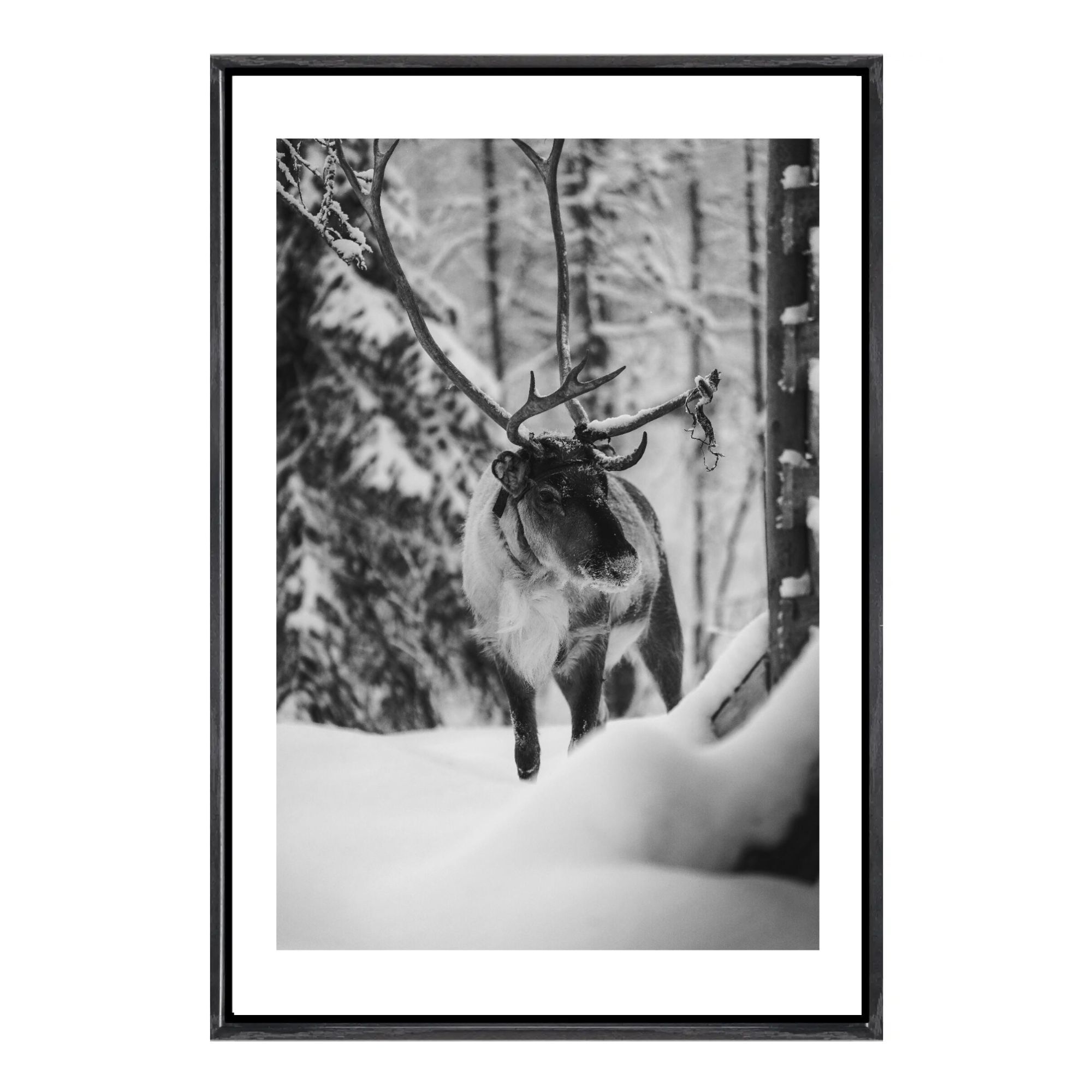 Deer Double Canvas Framed Wall Art Rustic Woodland Animal Print Nordic ...