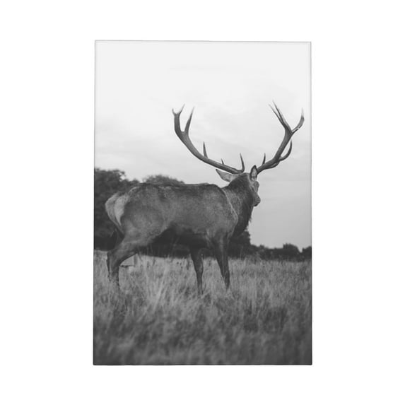 Deer Double Canvas Framed Wall Art Rustic Woodland Animal Print Nordic ...
