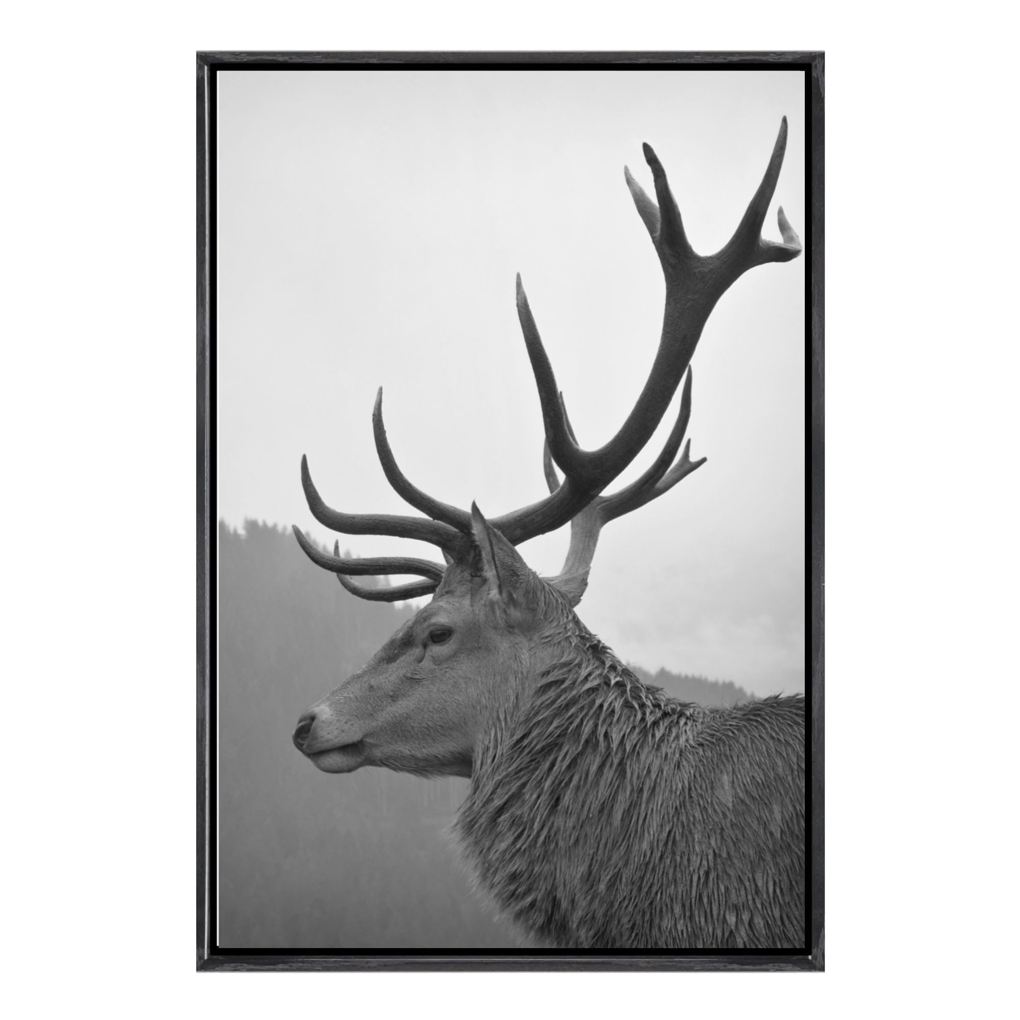 Deer Canvas Framed Wall Art Rustic Woodland Animal Print Nordic Nature ...